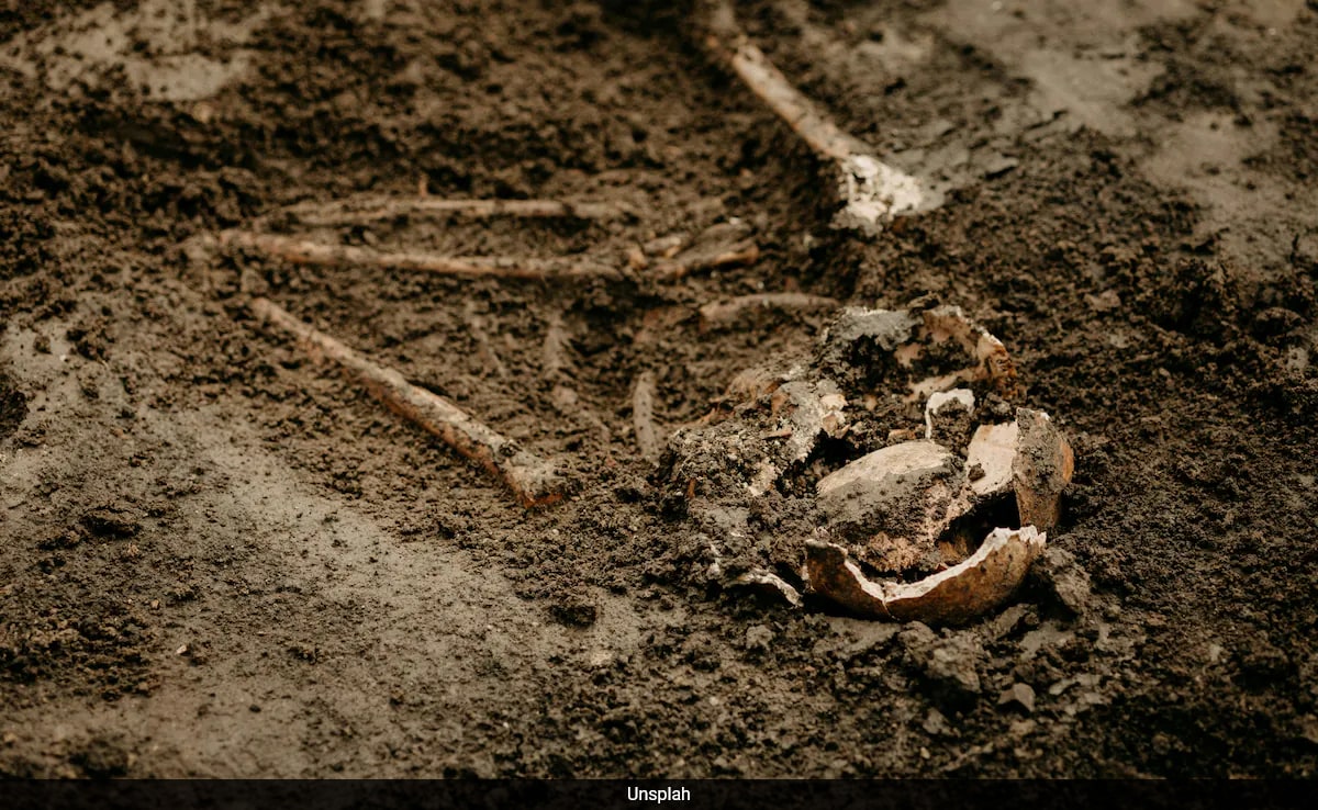 Human Remains Found At Lancashire Home May Belong To Children, Say UK ...
