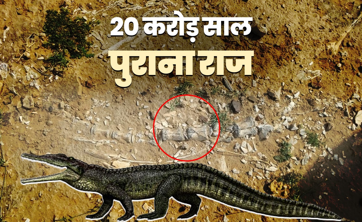 phytosaur rajasthan