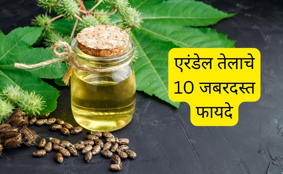 Health Expert Highlights 10 Benefits of Castor Oil; Recommends for Gut ...