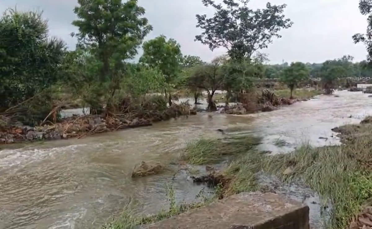 Maharashtra Weather Heavy Rainfall in Latur District Crop Loses