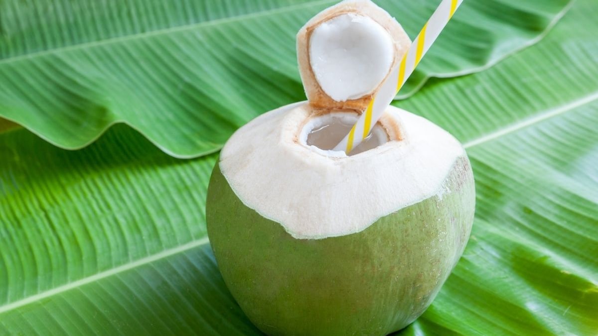 5 Coconut Water Recipes That Actually Make The Heat Bearable - NDTV Food
