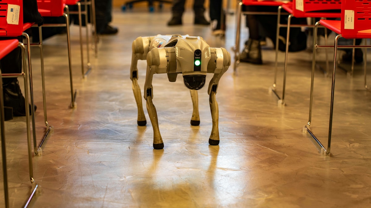 AI-Powered Robo Dogs Begin Food Delivery Trials In Zurich - NDTV Food