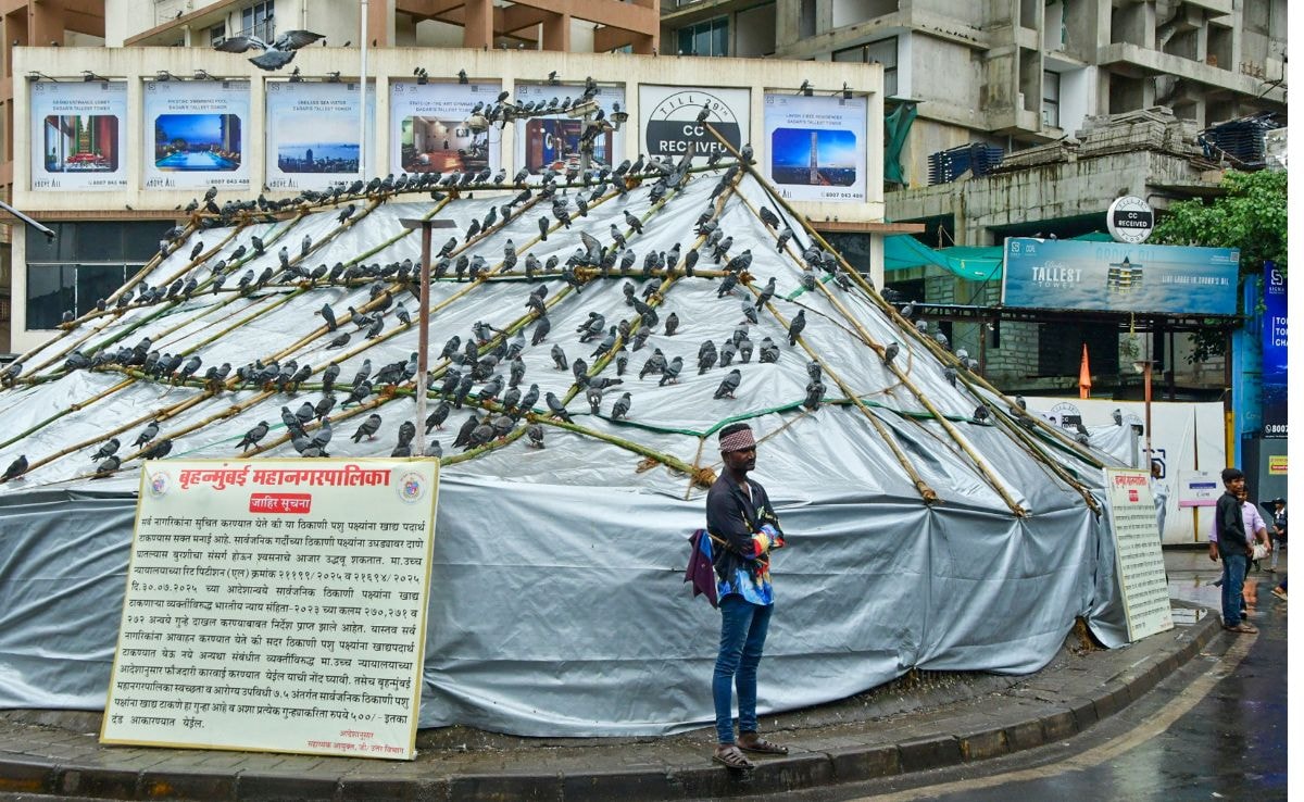 Dadar kabutar khana marathi ekikaran samiti to protest appeal marathi ...