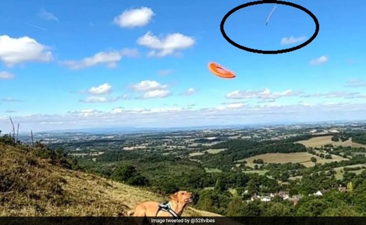 "Speed Is Insane": Mysterious Object Zips Through Sky In UK, Video ...