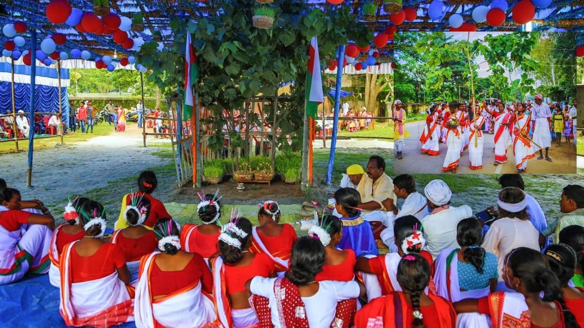 Karma 2025: कब है करमा पर्व, क्यों की जाती करम डाल की पूजा? जानिए महत्व ...