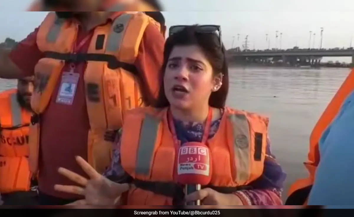 Pakistani TV Reporter's Dramatic Flood Coverage Goes Viral: "Mera Dil ...