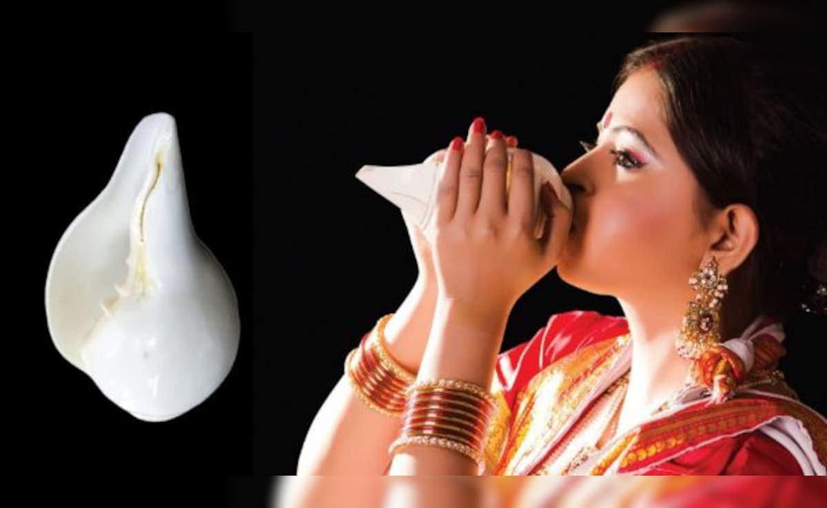 Conch Shell Blowing Shows Promise In Treating Sleep Apnea