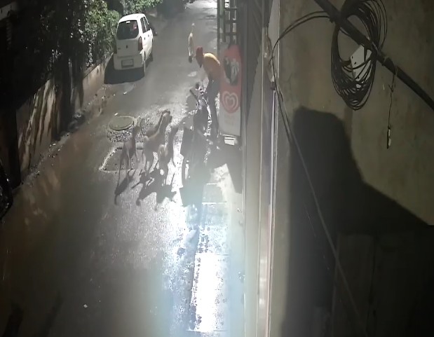 On Camera, 7 Stray Dogs Attack Maharashtra Man. Then A Dramatic Escape
