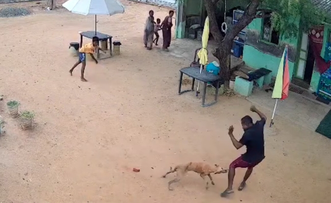 On Camera, Stray Dog Attacks Boy, Father In Tamil Nadu's Madurai