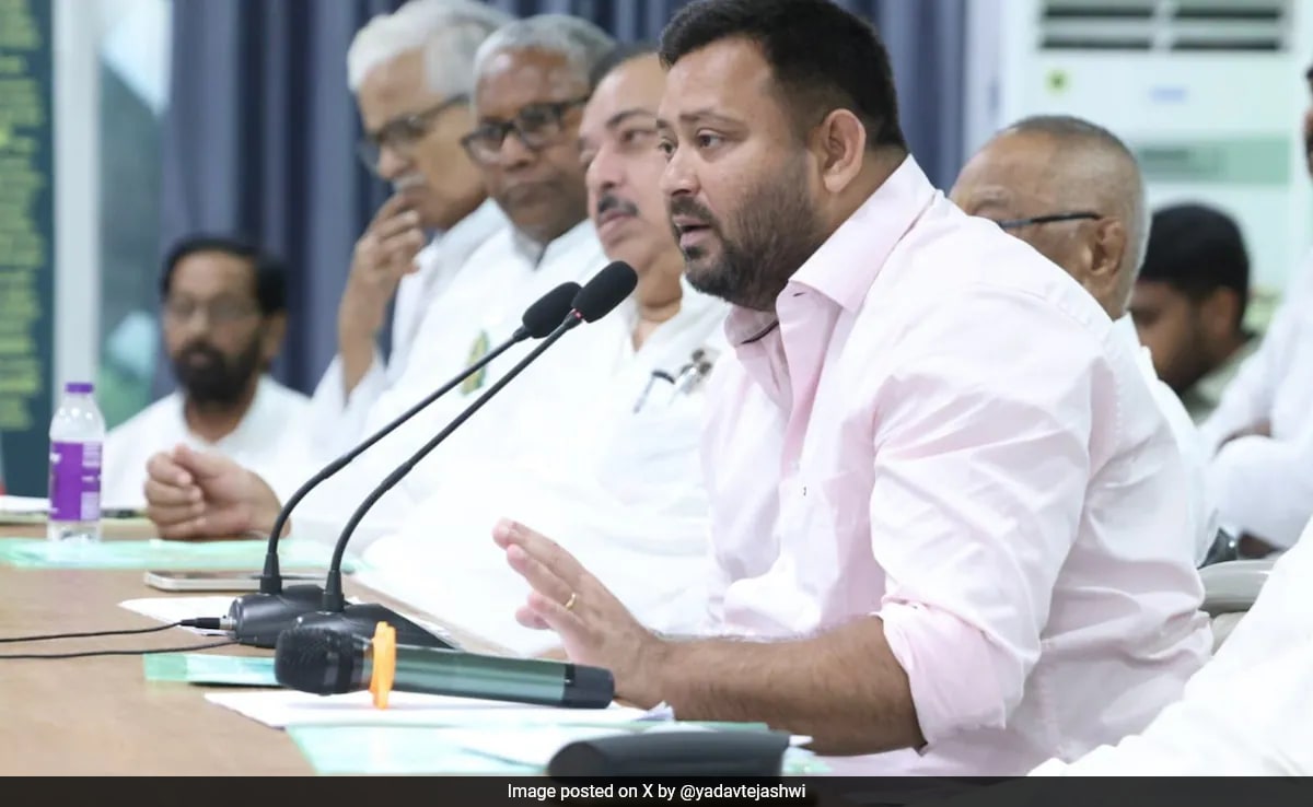 Row Over Ex-Party Leader's "Jersey Cow" Remark For Tejashwi Yadav's Wife