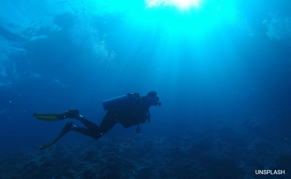 Bizarre Heist At US Disney Springs: Robber In Scuba Gear Swims Away ...