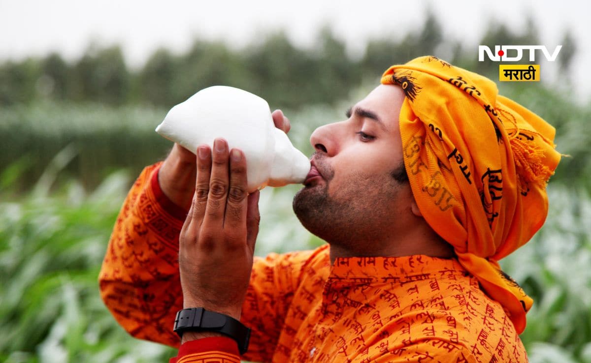 significance conch What is the reason behind blowing the conch shell in ...