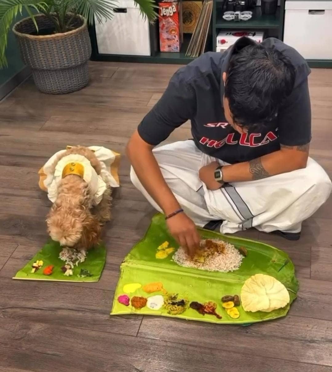 Dog Eating Onam Sadhya | Know All About Dog Eating Onam Sadhya at NDTV Food