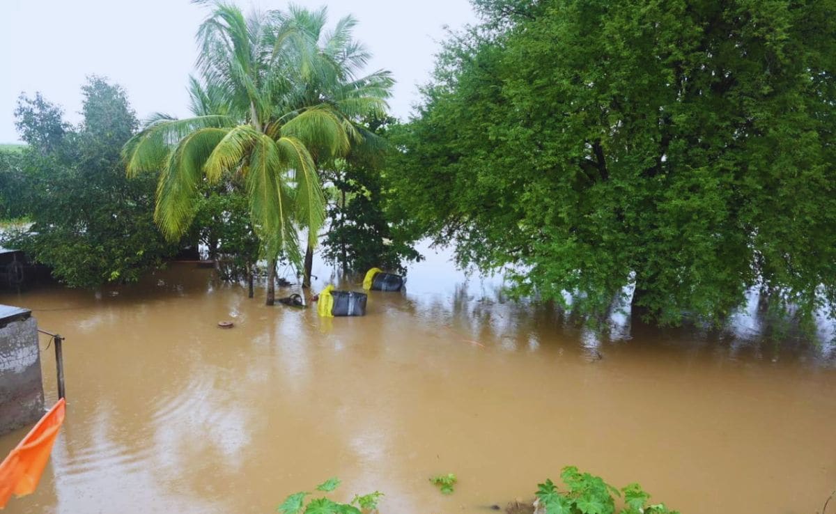 Maharashtra heavy rain in maharashtra marathwada rain Farmer's loss rain warning issued 29 out ...