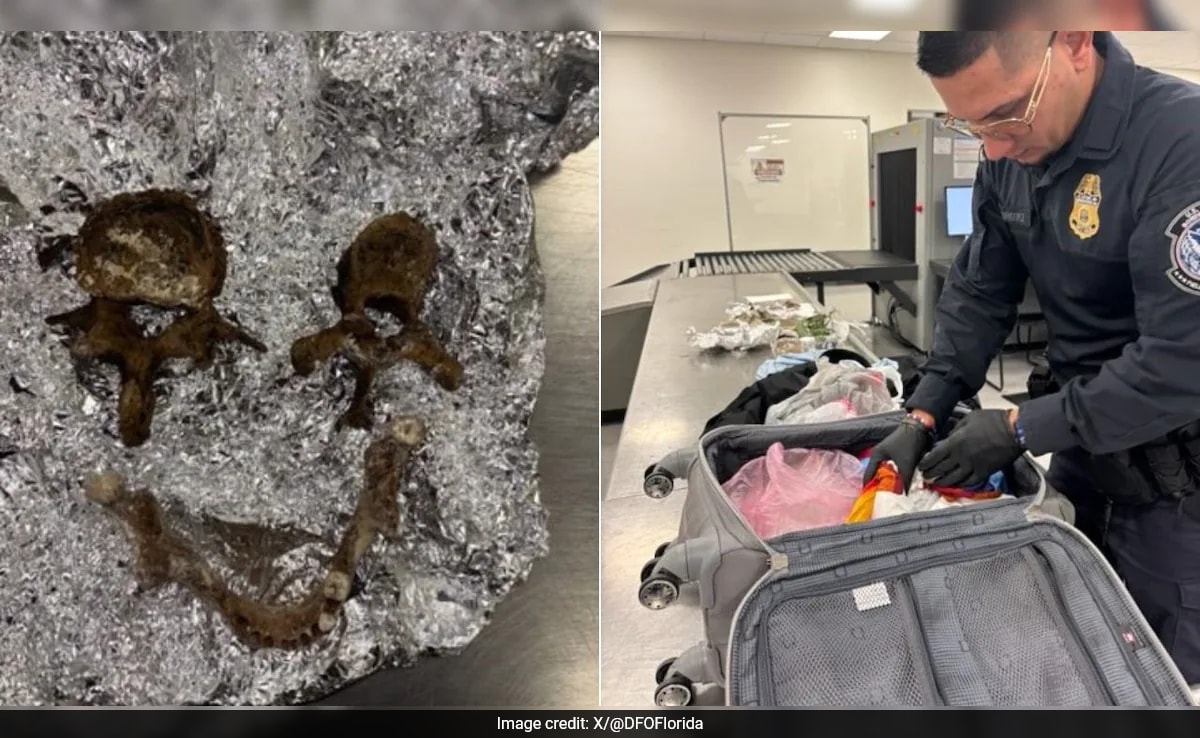 Human Skull And Bones Found In Foil-Wrapped Bag At Tampa Airport In Florida
