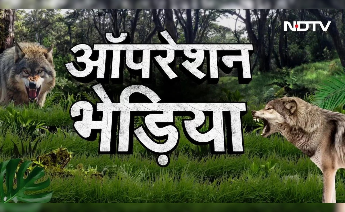 बहराइच में आदमख़ोर भेड़िए का आतंक खत्म, सीएम योगी ने जिंदा या मुर्दा ...