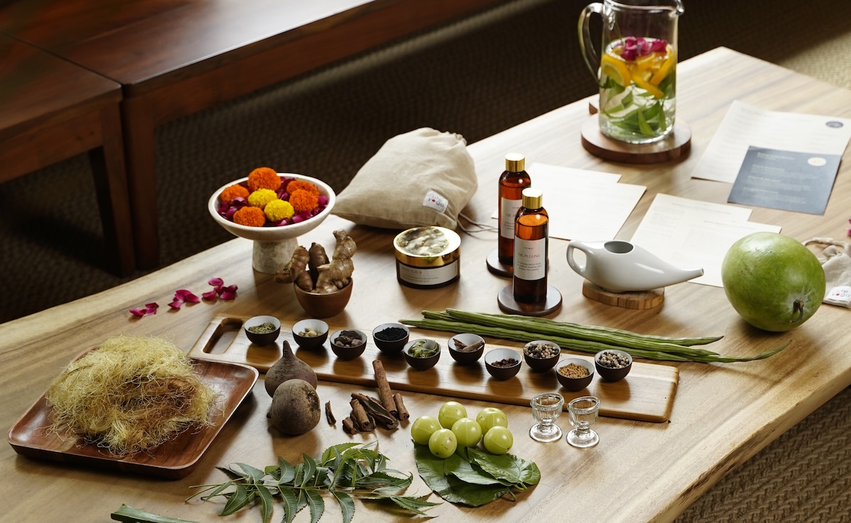 Navratri 2025: True Purpose Of Fasting Is Linked To Ritucharya ...