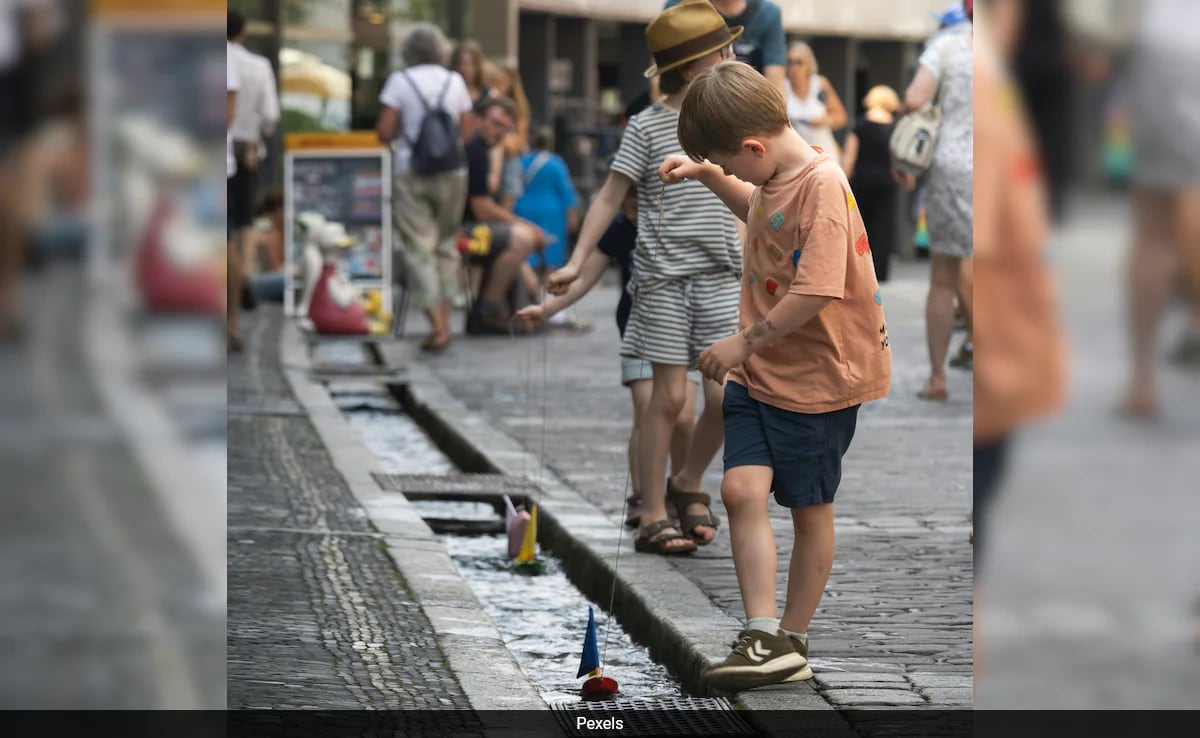 Bachle: Indian Tourist Shocked By Germany's 'Fancy Naali ', Video Goes ...