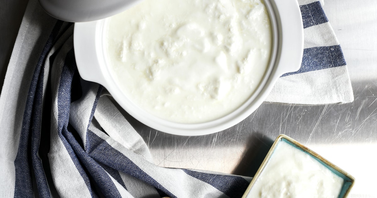 Can You Have Curd During Cold And Cough