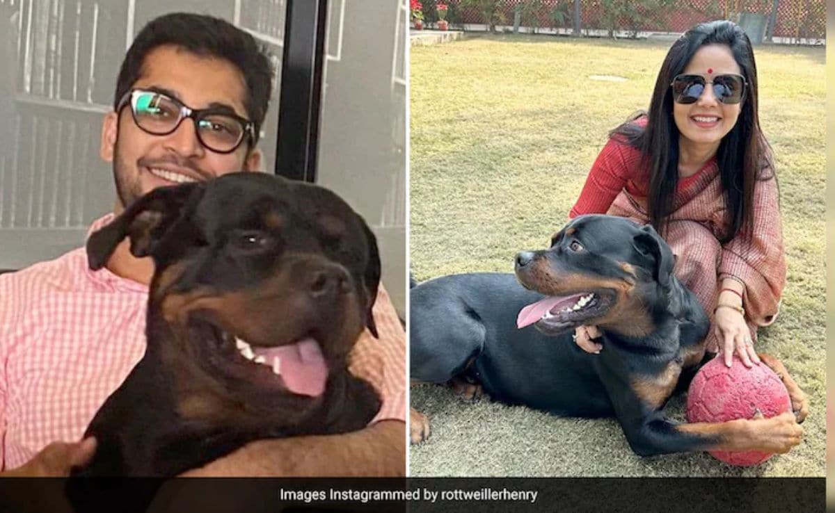 Delhi High Court's Fresh Twist in Mahua Moitra vs Jai Anant Dehadrai ...