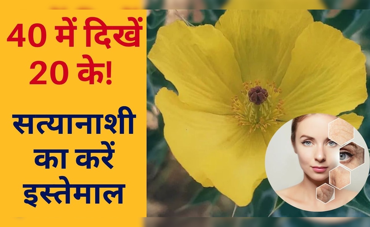 नाम सत्यानाशी, लेकिन फायदों की खदान है ये पौधा, खास तरीके से किया सेवन ...
