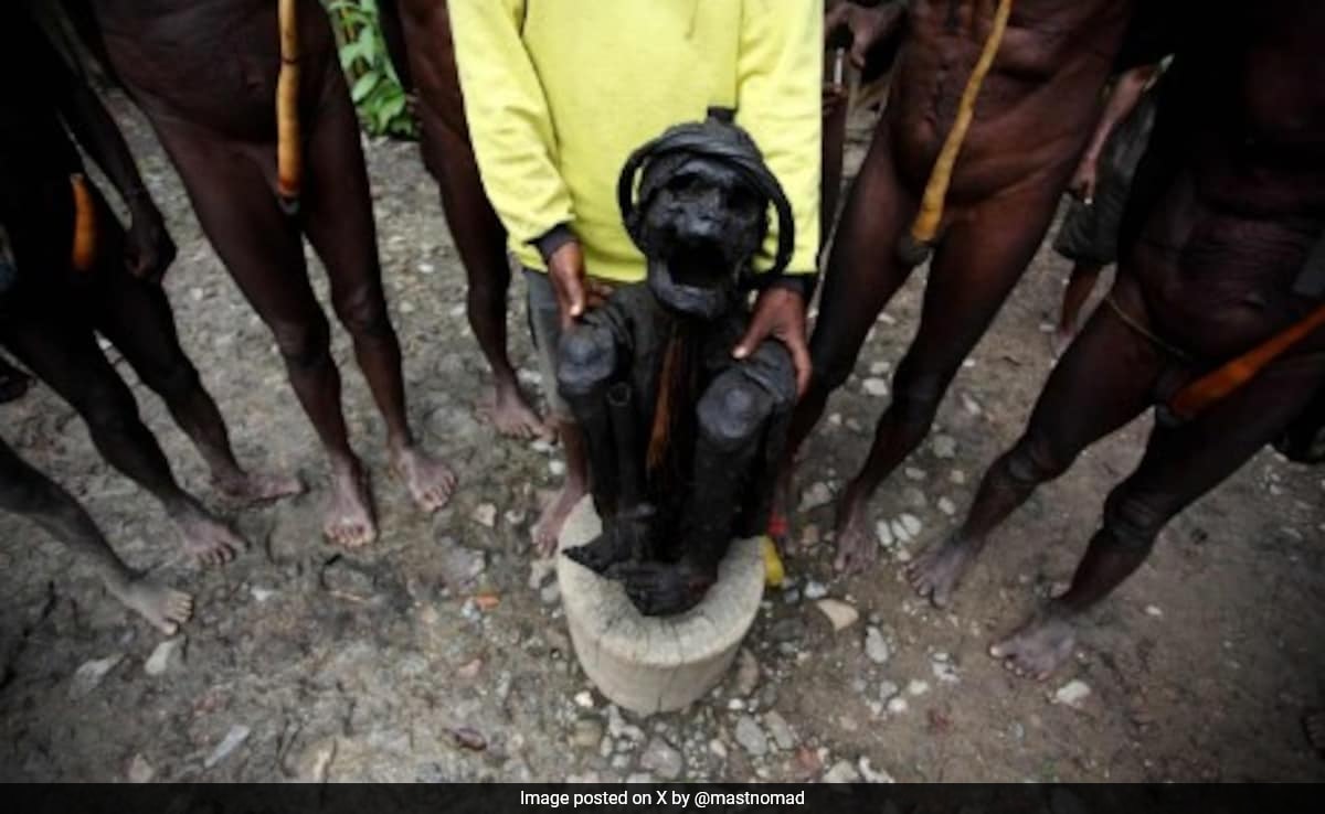 Smoke-dried bodies could be world's 'oldest mummies': study