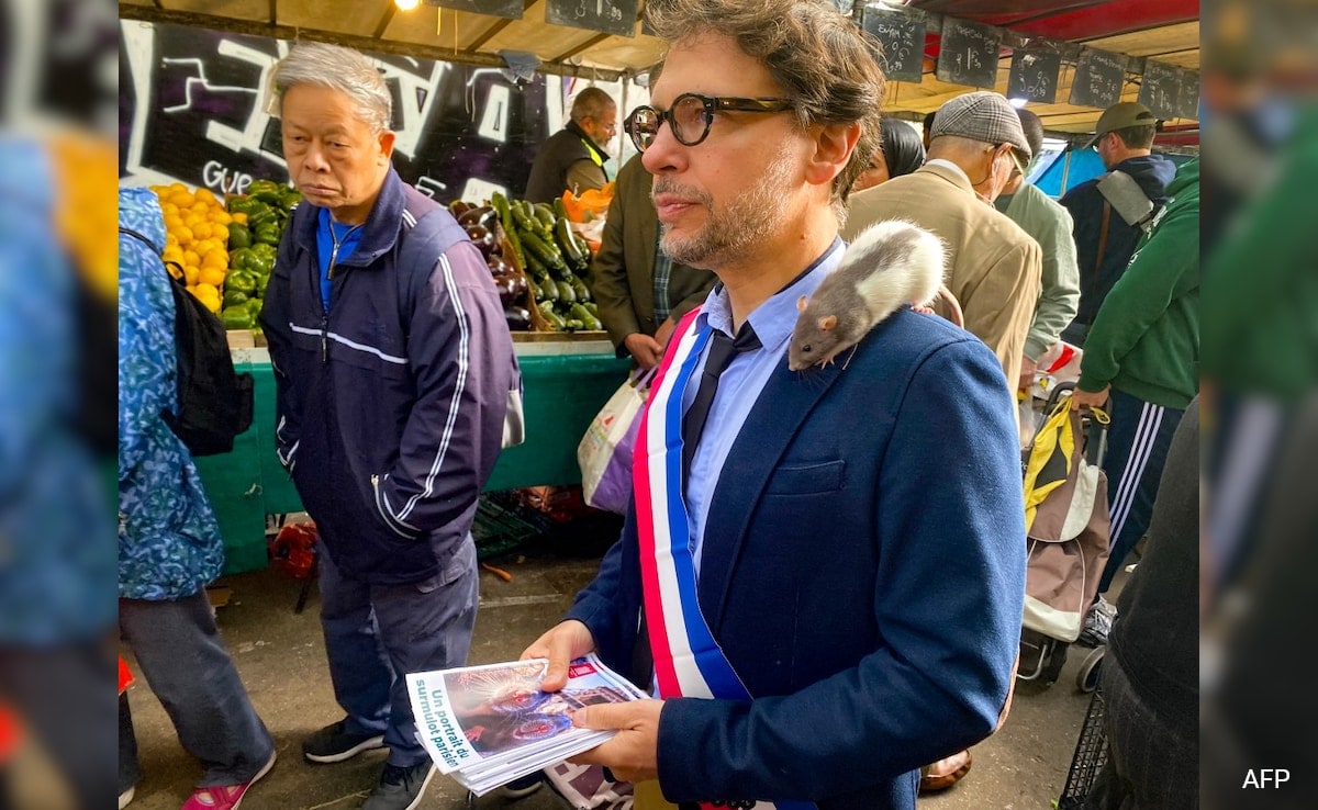 Tails Of City: Paris Rats Find Unlikely Political Ally, Deputy Mayor ...