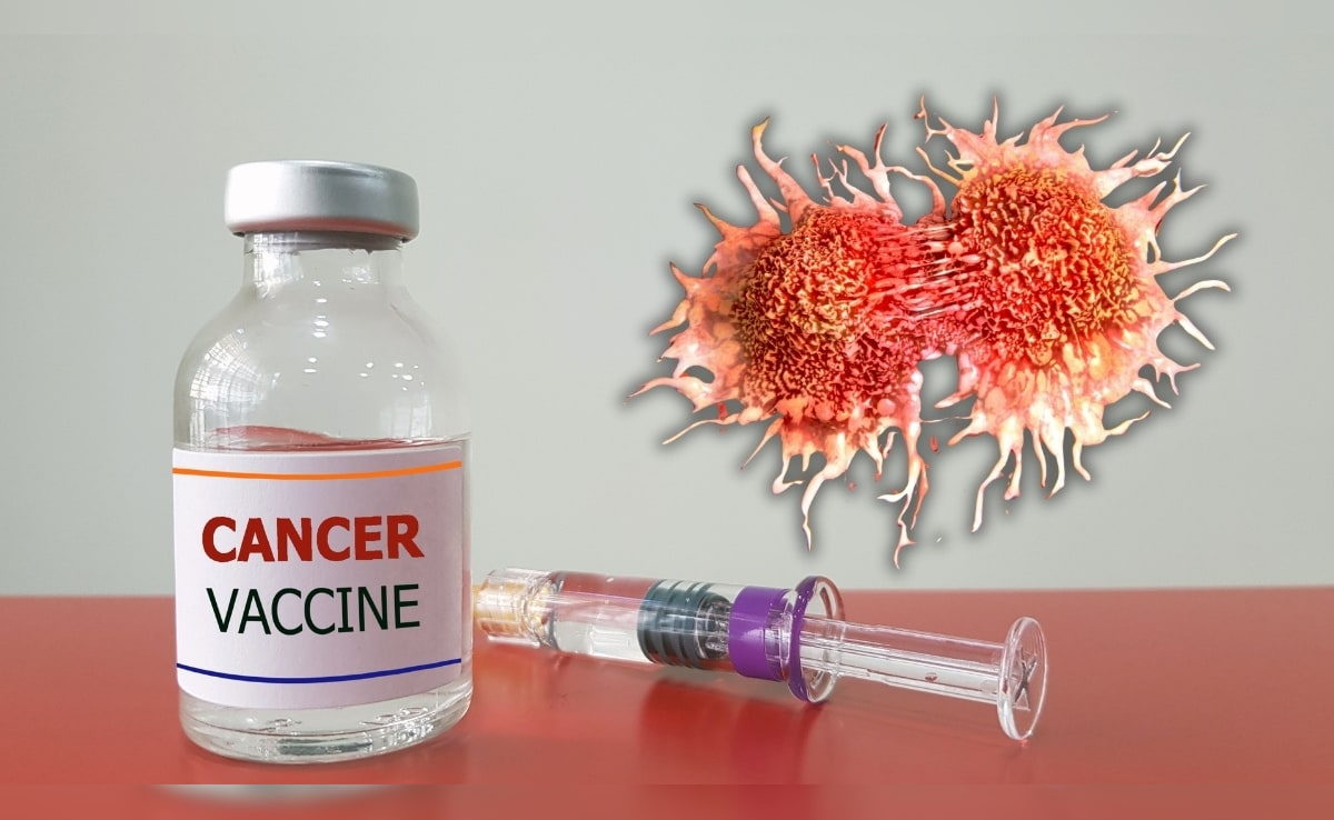 Cancer Vaccine Update Experts Clarify on New Vaccine's Purpose