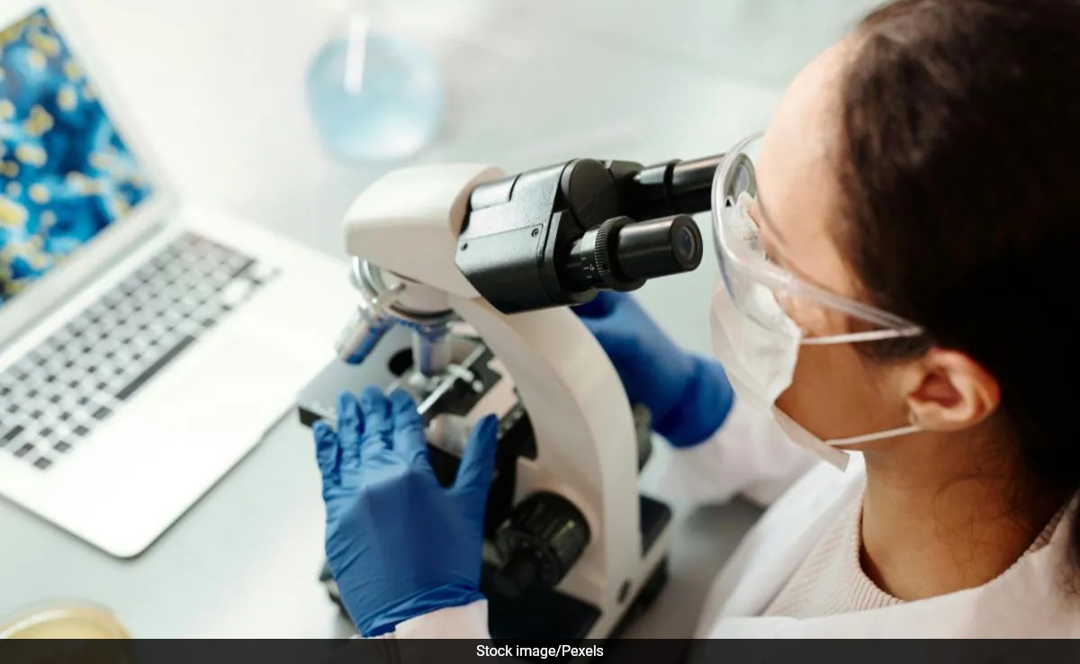 Scientists Discover Molecular 'Passports' That Control Cell Nuclei