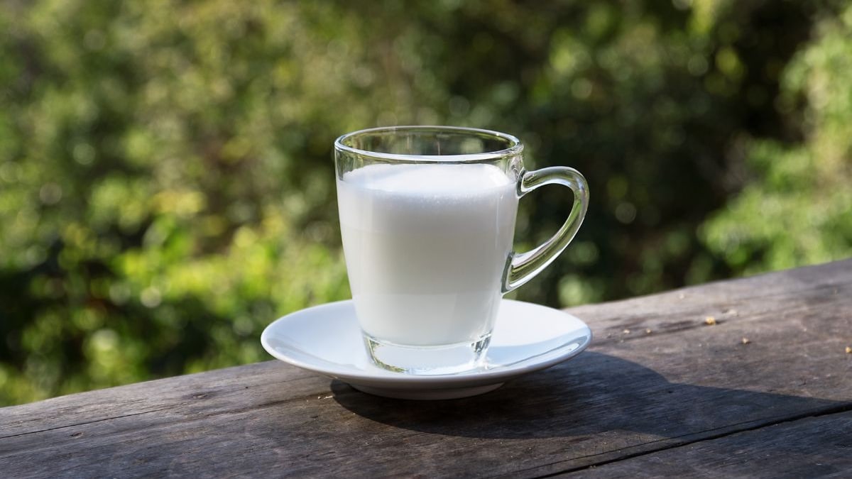 National Milk Day 2025: Why Drinking Warm Milk At Night Could Be Your ...