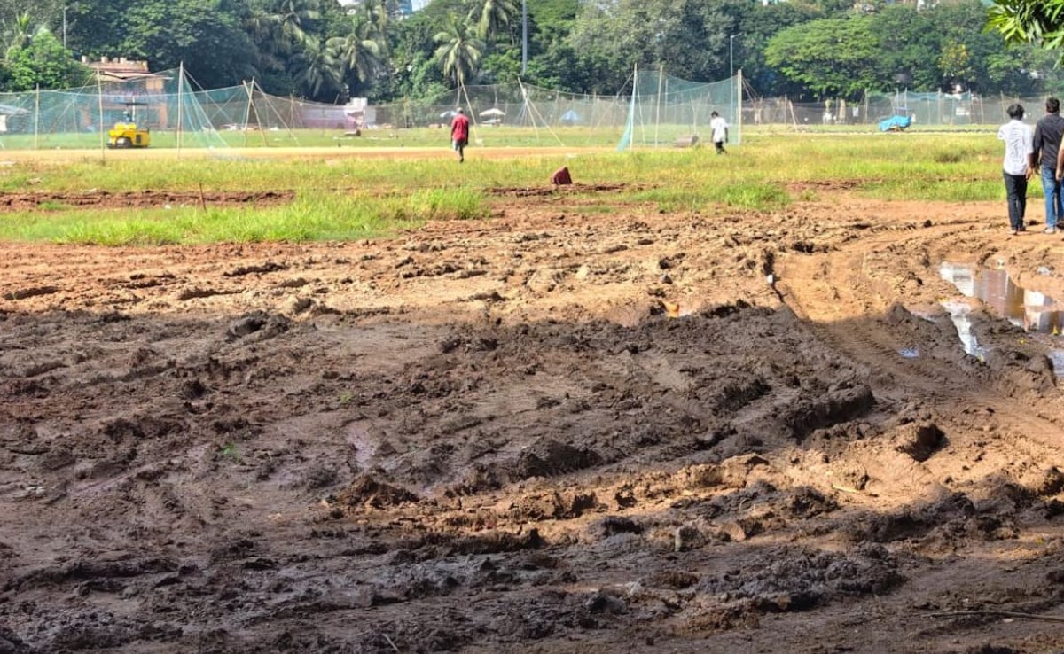 Mumbai's Cricket Legacy Buried In Dust As Residents Decry Shivaji Park ...