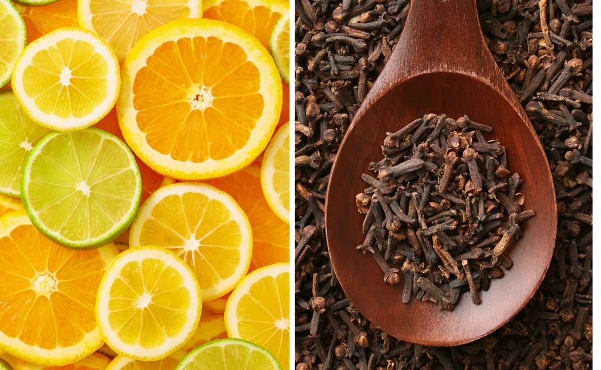 Health News What Happens If You Consume Lemon And Clove Together