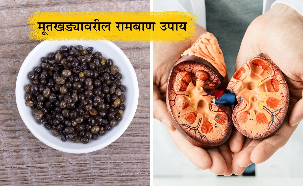 Health News Amazing Papaya Seeds Benefits For Kidney Stone Mutkhada ...