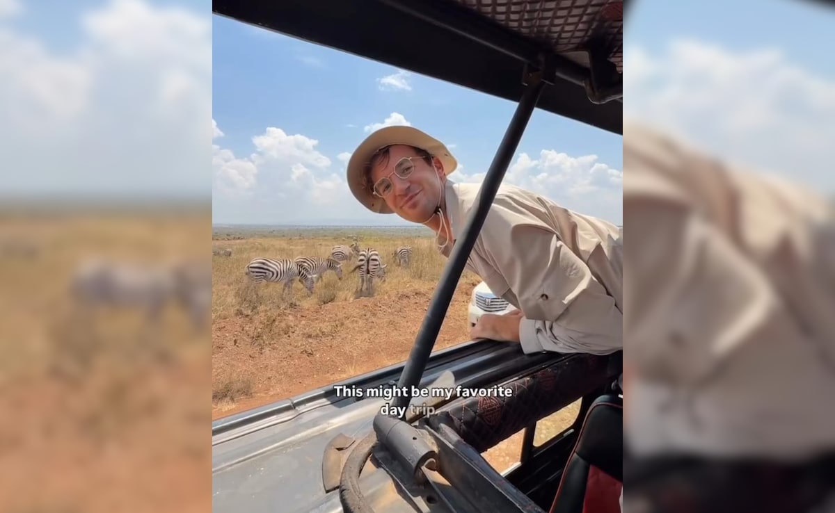 Viral Video: Traveller Takes One-Day Trip For African Safari From New ...