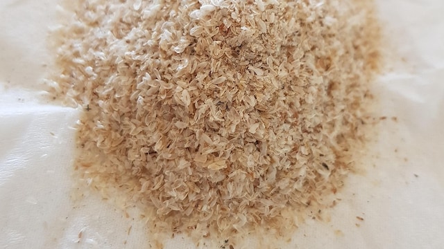 Psyllium Husk Side Effects Explained: Why Long-Term Use Can Worsen ...