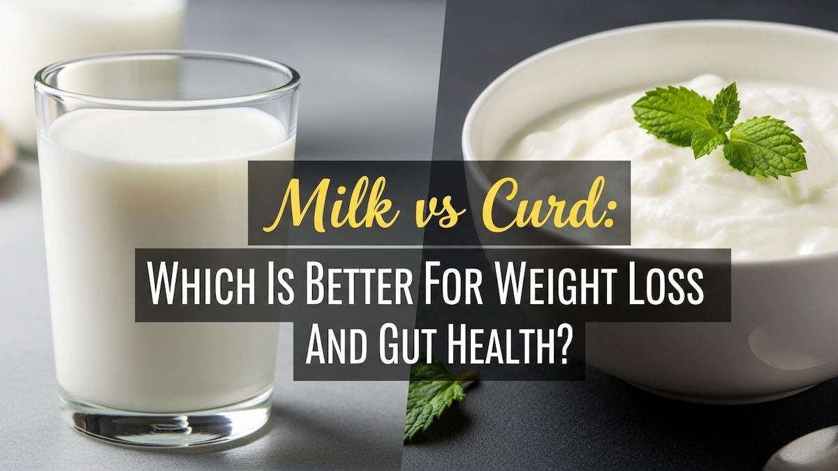 Milk vs Curd: Which Is Better For Weight Loss And Gut Health - NDTV Food