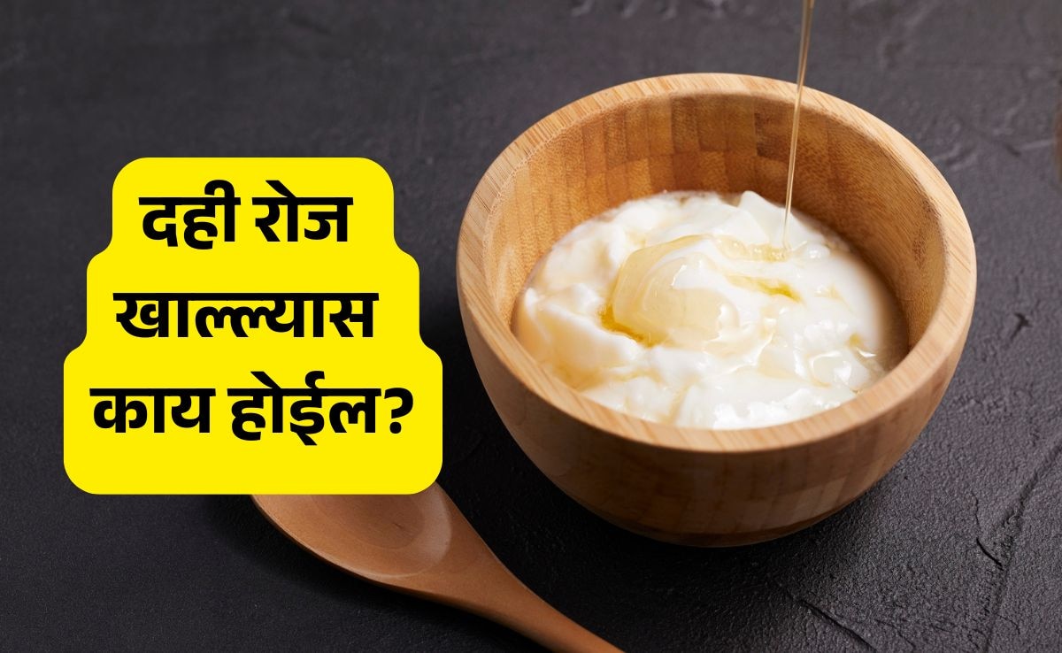 Health News Benefits of Eating Curd Daily For 30 Days Immunity Weight ...