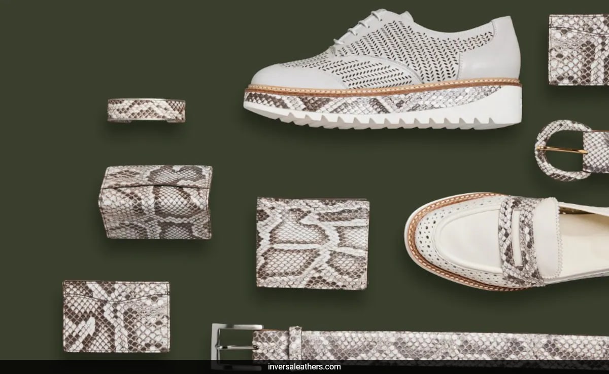How Florida Turned Invasive Pythons Into High-End Leather Products