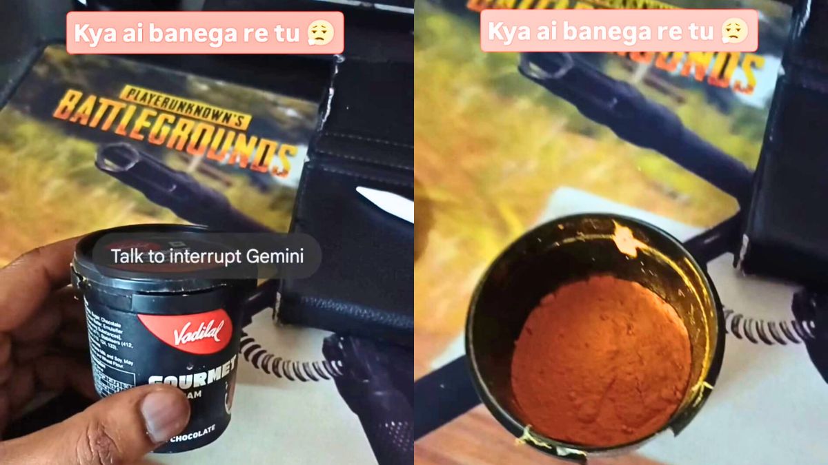 "Indian Mom - 1, Gemini - 0": Gemini Fails To Guess Whats Inside ...