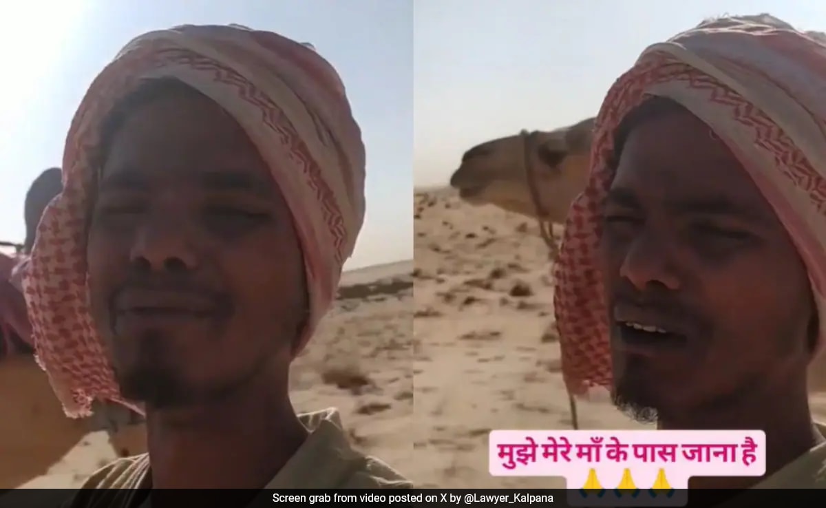"I Will Die": Indian Man, Out In Saudi Desert With A Camel, Asks PM ...
