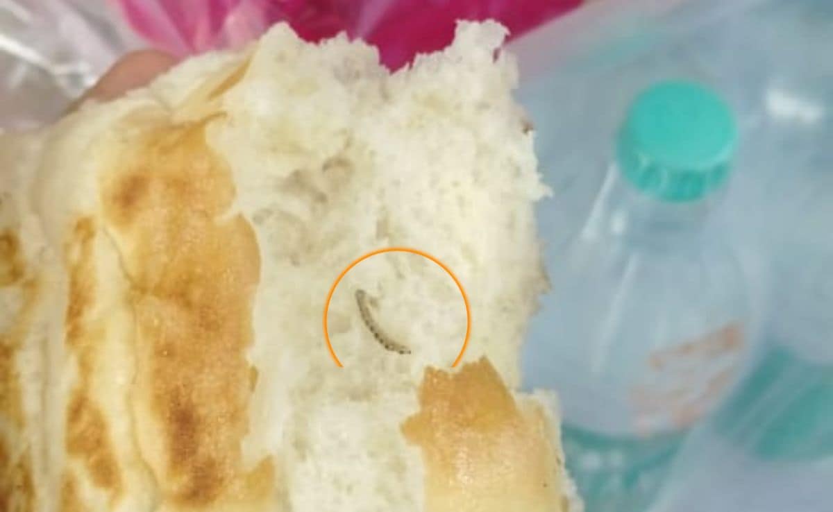 Navi Mumbai Bread Loaf Worm: Ambika Sweets, Eden Bakery Inspection ...
