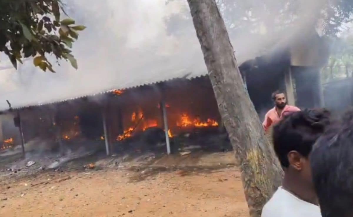 6 Killed In Fire At Crackers Manufacturing Unit In Andhra Pradesh: Police