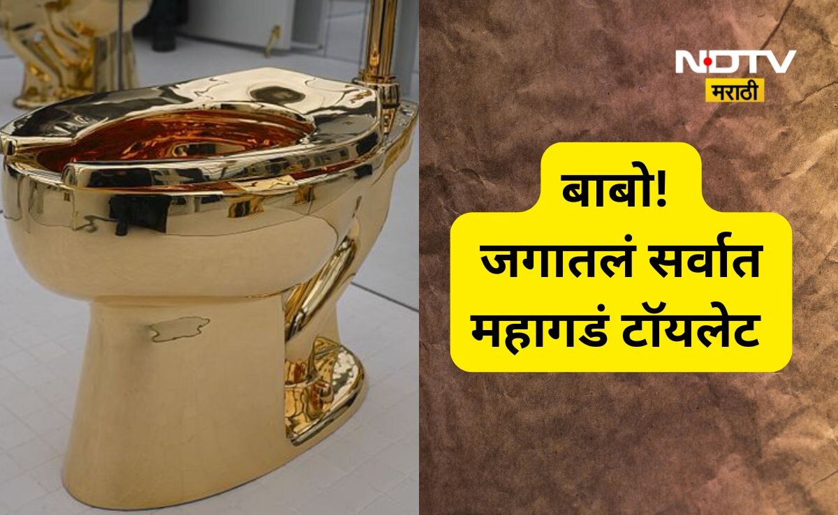 Worlds Most Expensive Gold Toilet Up for Auction Toilet costs 88 crores