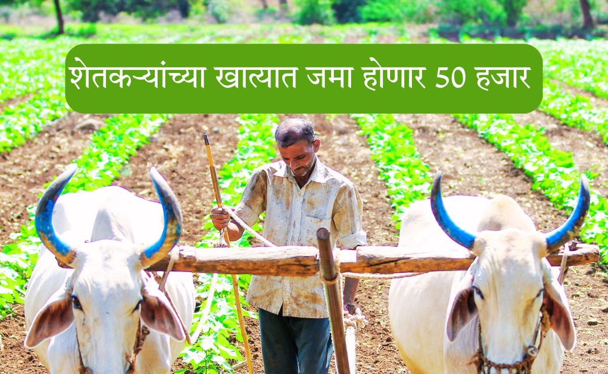 Farmers who win the farmers' crop competition will receive 50,000 rs