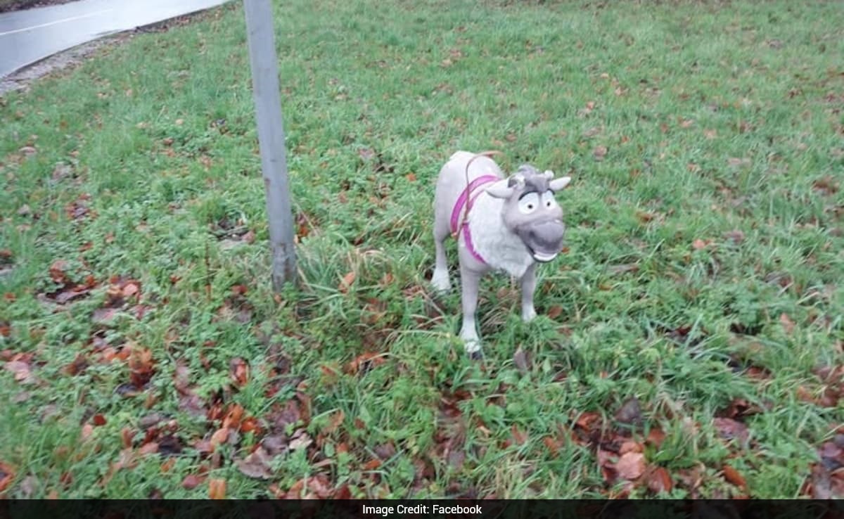 Police Involved As Toy Reindeer Mistaken For Abandoned Dog In England ...