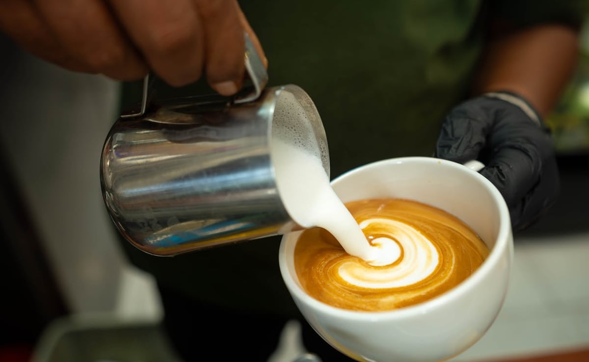 10 Harvard-Approved Caffeine Hacks To Improve Productivity Without ...