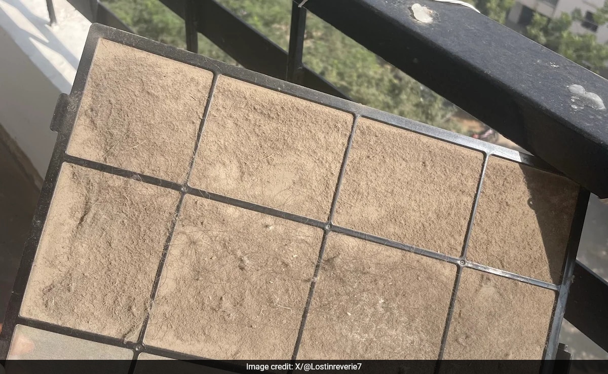 Gurugram Woman Shares "Scary" Pics Of Air Purifier Filter, Sparks ...