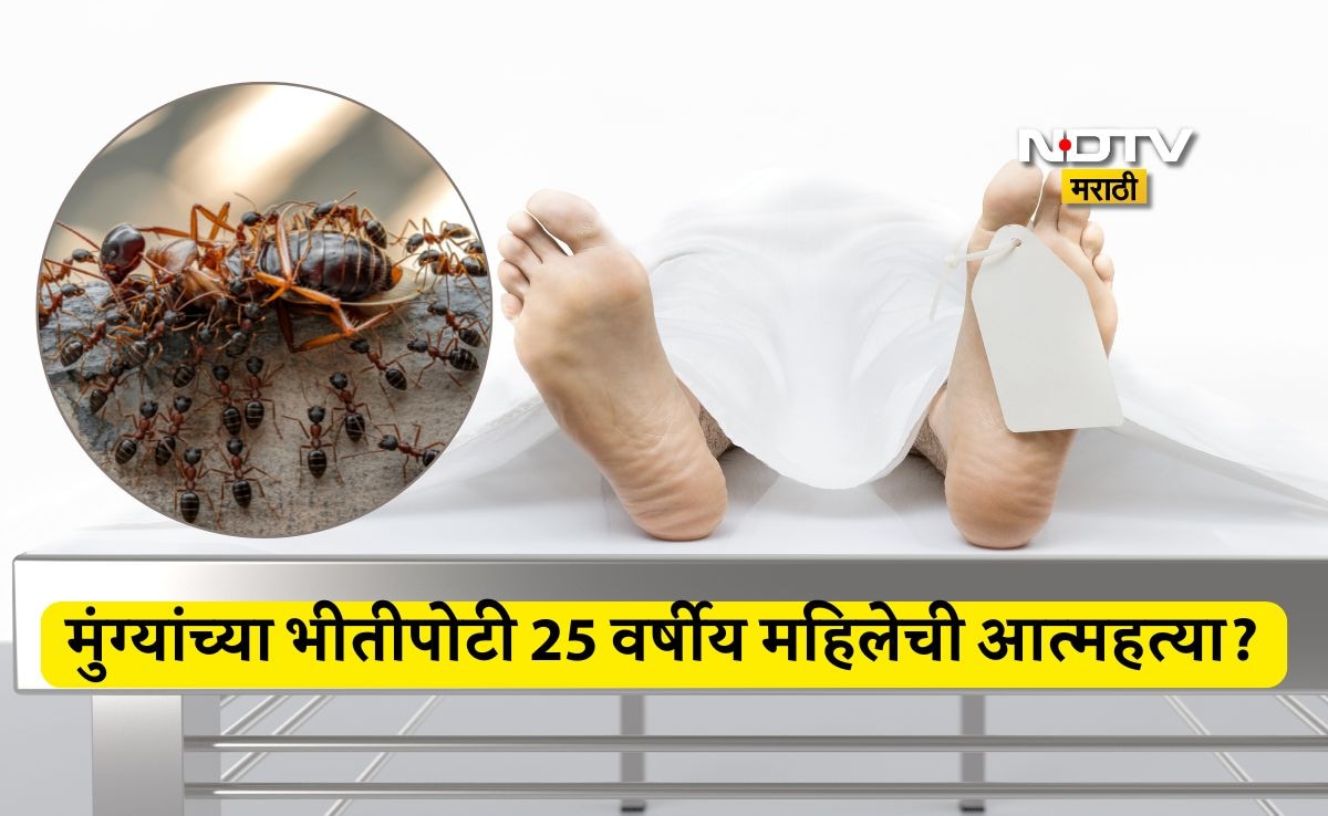 What Is Myrmecophobia: Telangana Woman Dies By Suicide Over Fear Of Ants