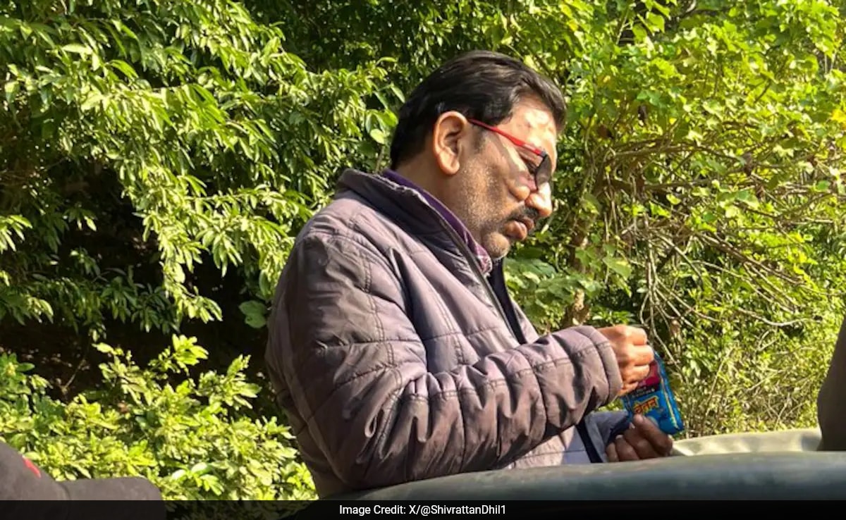 'Deer Meat Tastes Good': Jim Corbett Guide Banned For Bizarre Remarks ...