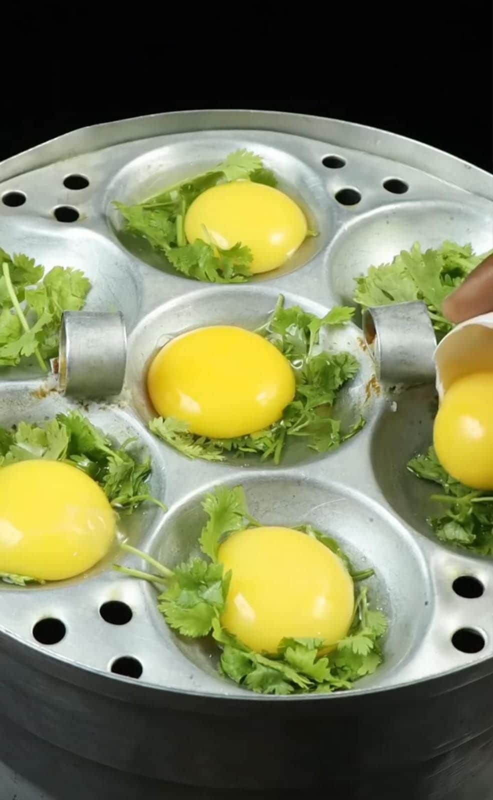 Steamed Eggs | Know All About Steamed Eggs at NDTV Food